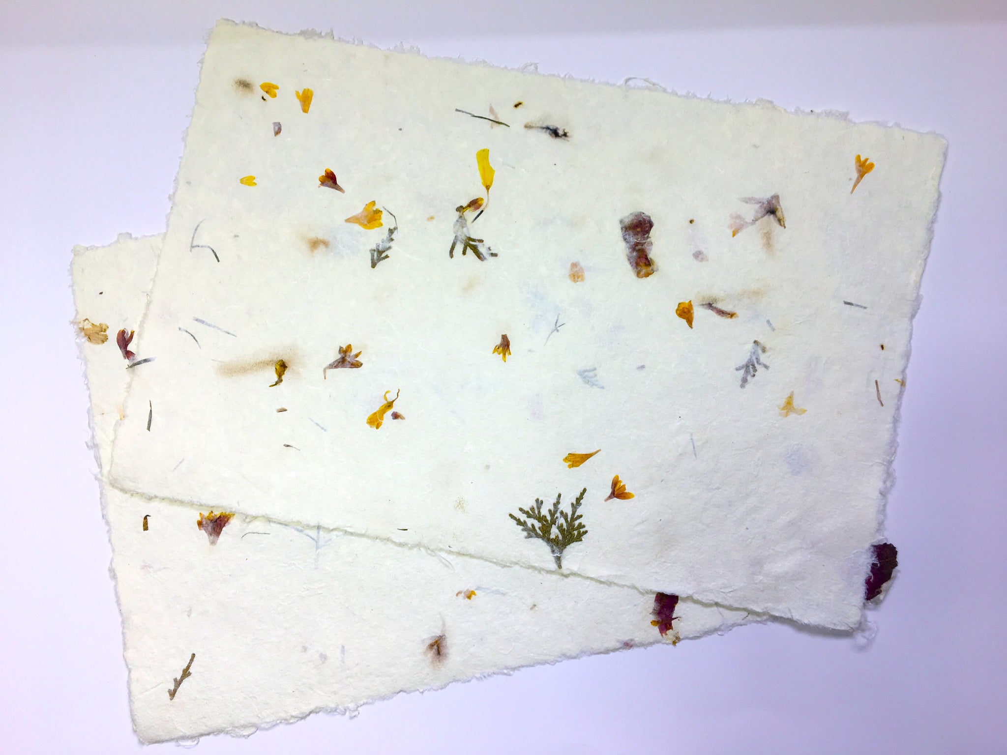 Home | Traditional BookBinding